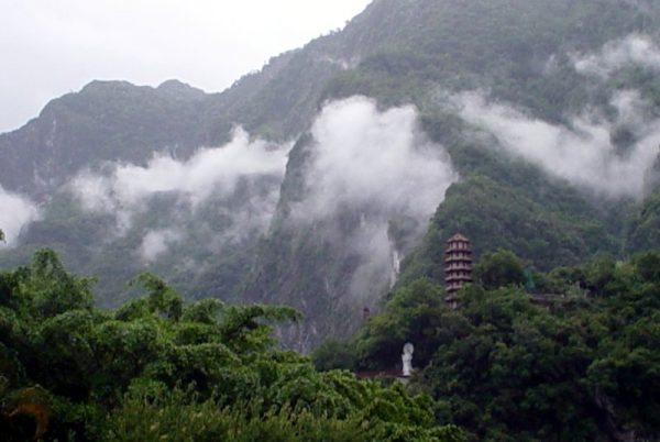 5 Reasons to Visit Taiwan - Little Tree Tea - Tea and Tea Tours